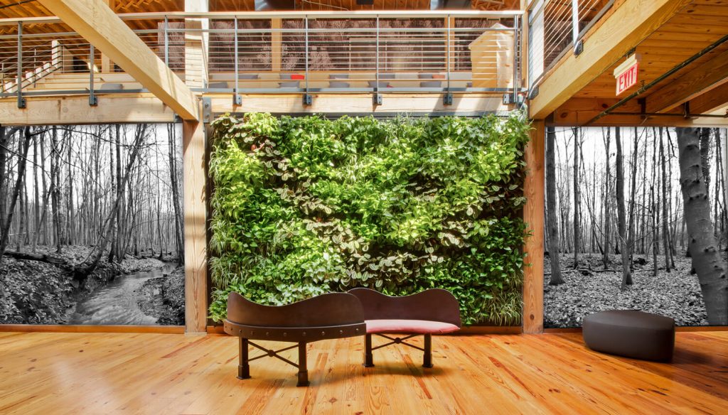 Eco-friendly company adds green living wall to reflect their natural ...
